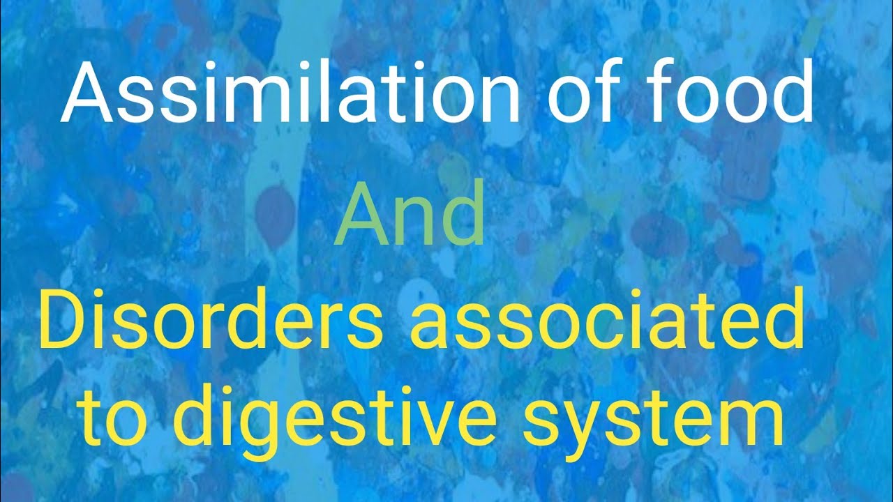 Assimilation of food and disorders associated to digestive system - YouTube