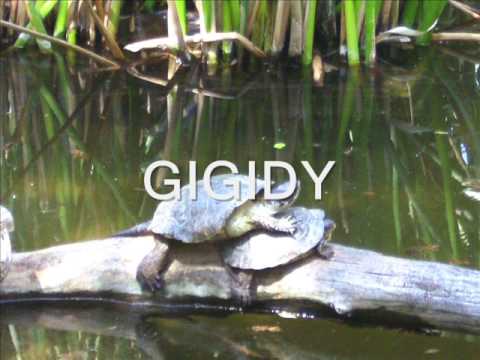 gigidy - YouTube