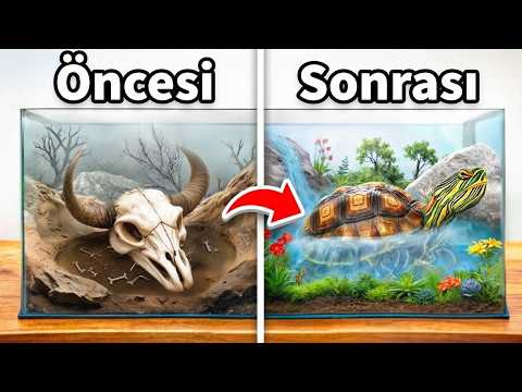 Terk Edilmiş Bir Kaplumbağanın Yuvasını Dönüştürdüm