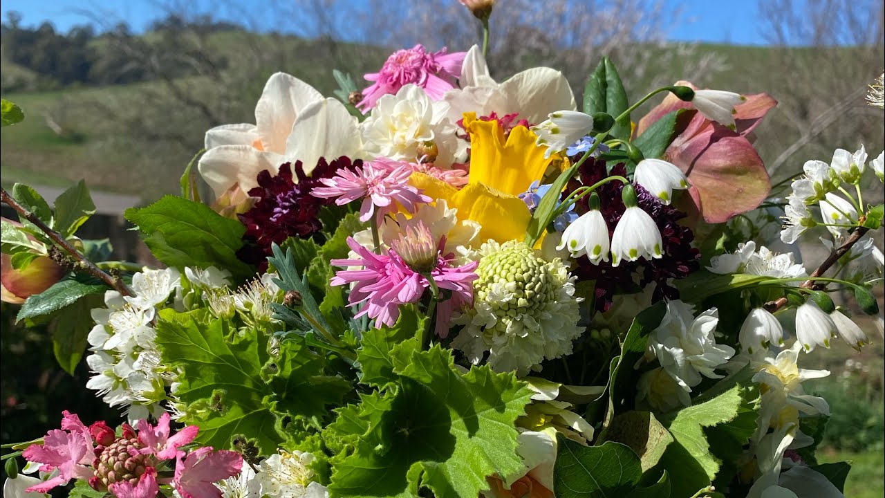 Spring birthday bouquet by Blooms on the Hill - YouTube