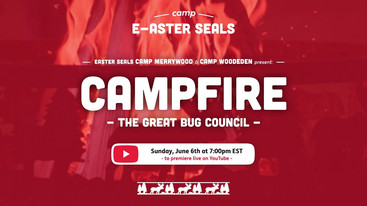 The Great Bug Council Campfire | Virtual Campfire (June 6, 2021) - YouTube