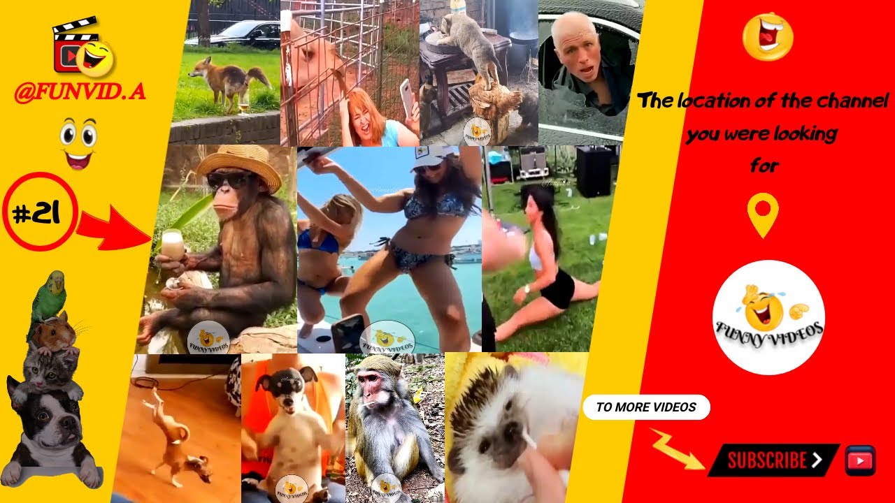 Funvid.A Presents : The Ultimate Funny Compilation Hilarious Moments, Fails, and Pranks - YouTube