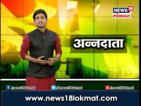 Latest news Ibn lokmat latest news news - YouTube