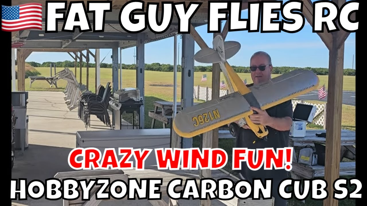 HOBBYZONE CARBON CUB S2 CRAZY WIND FUN by FGFRC#aviation #airplane #RC - YouTube