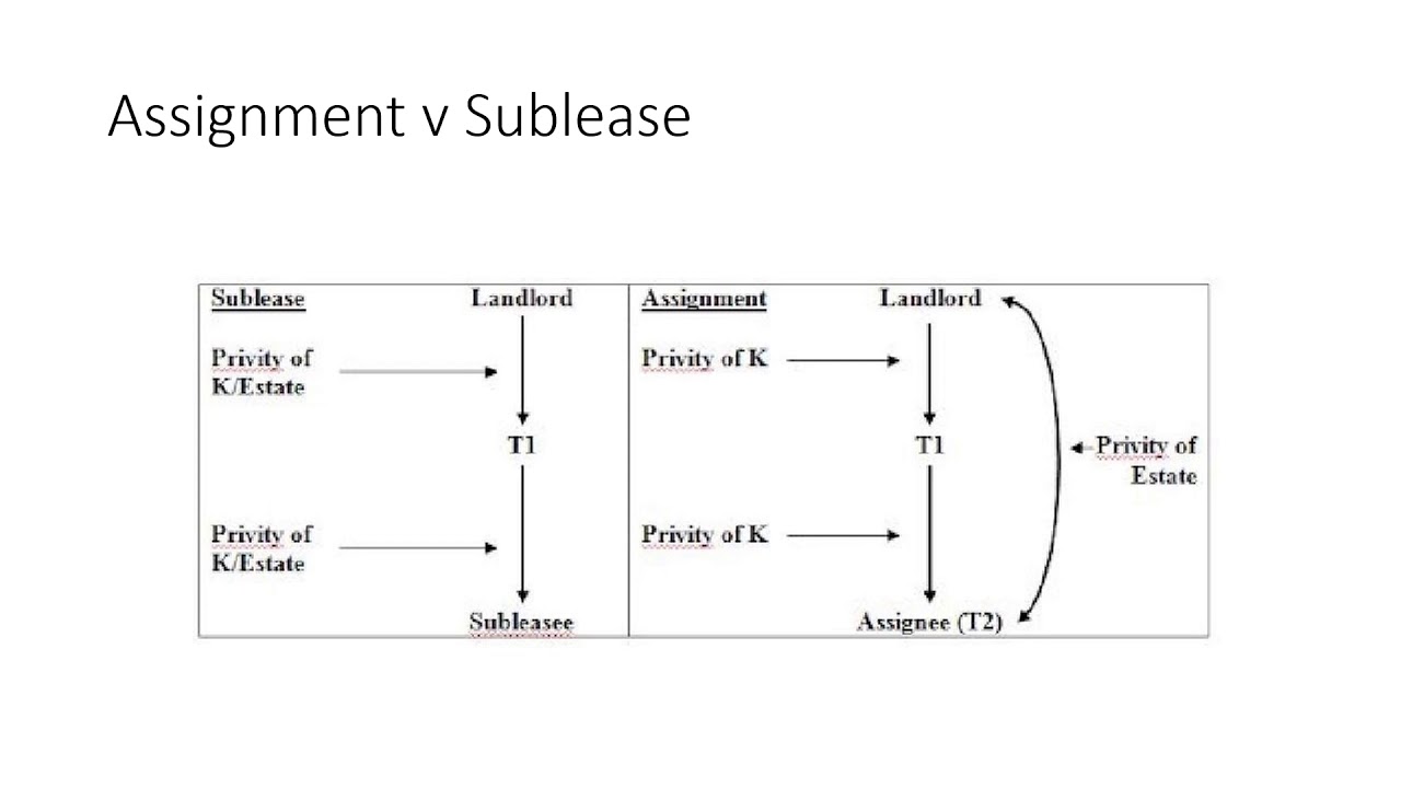 ASSIGNMENT v SUBLEASE - YouTube