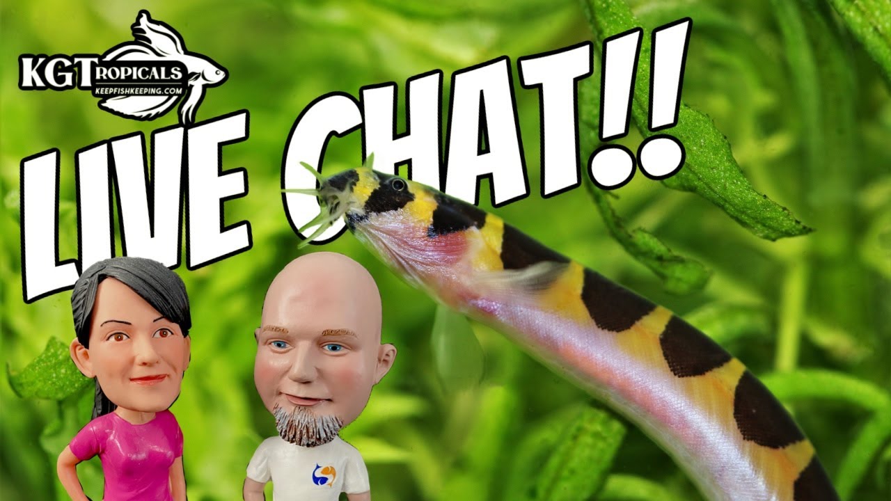 We're both BACK and ready to talk fish!! - YouTube