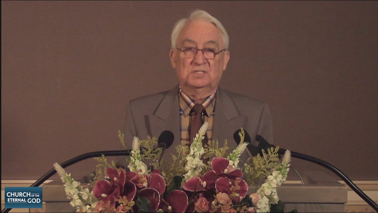 A Few Random Thoughts on the Stupidity of Evolution - YouTube