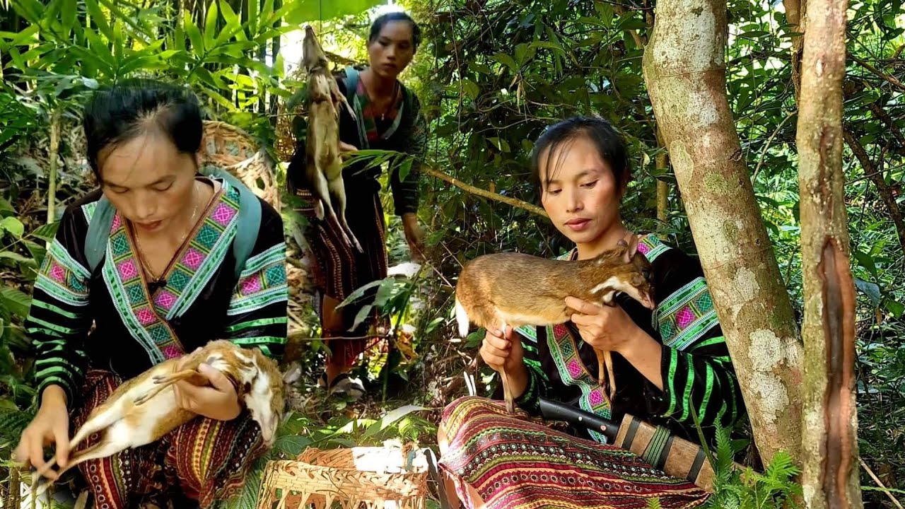 #13.Deer Trapping - YouTube