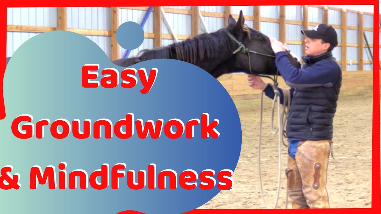 Basic Groundschool/Groundwork And The Horses Frame Of Mind - YouTube