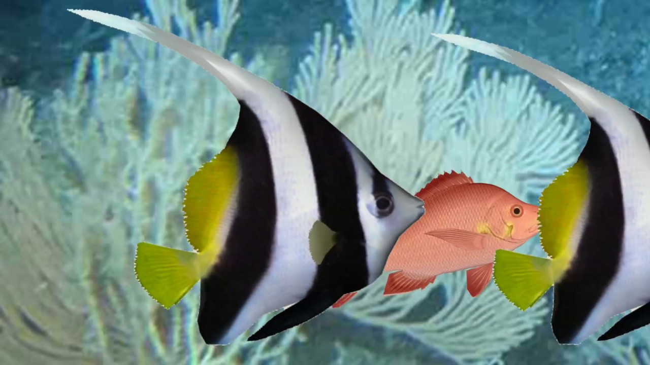 Shark Week Scream - YouTube