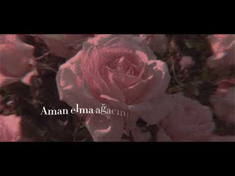 Arnon-te molla(lyrics)