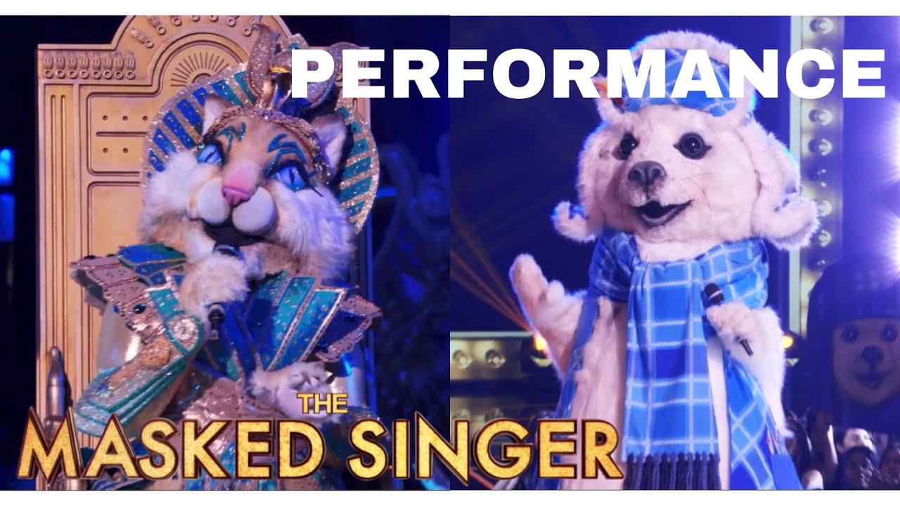 Miss Cleocatra & Seal sing “Waterfalls” by TLC | The Masked Singer ...
