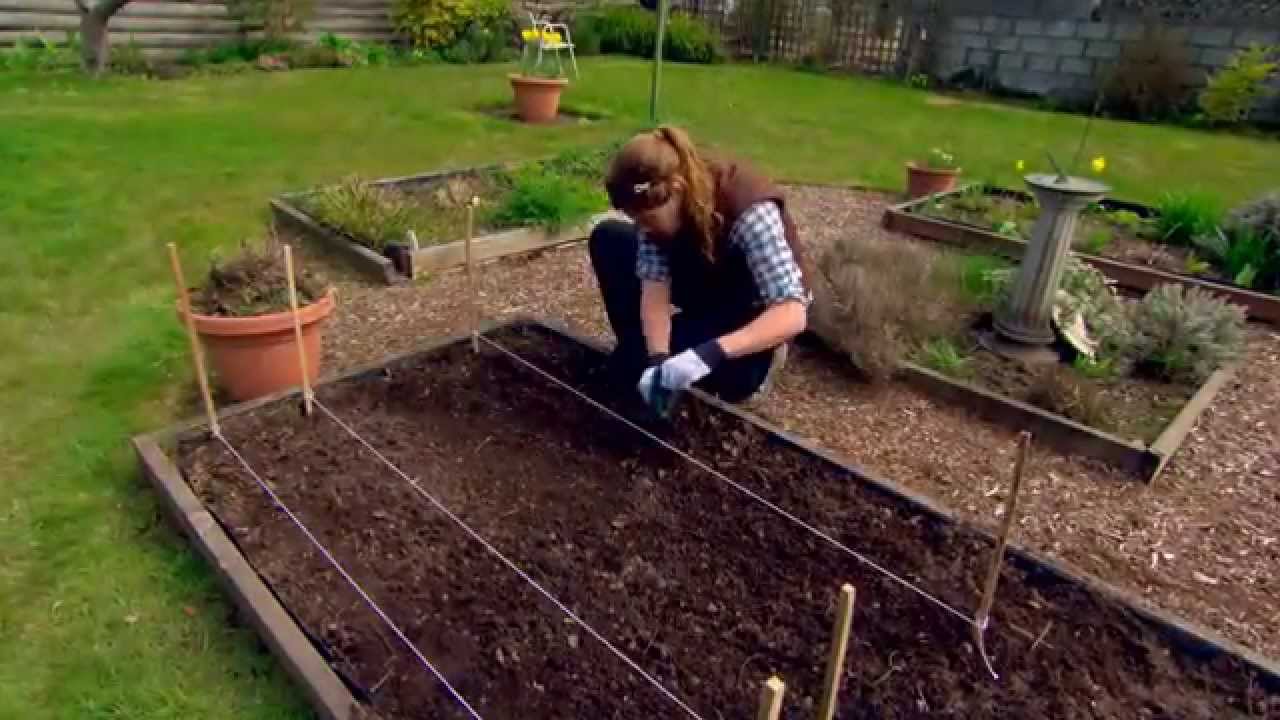 Le potager -- Conseils de jardinage - YouTube