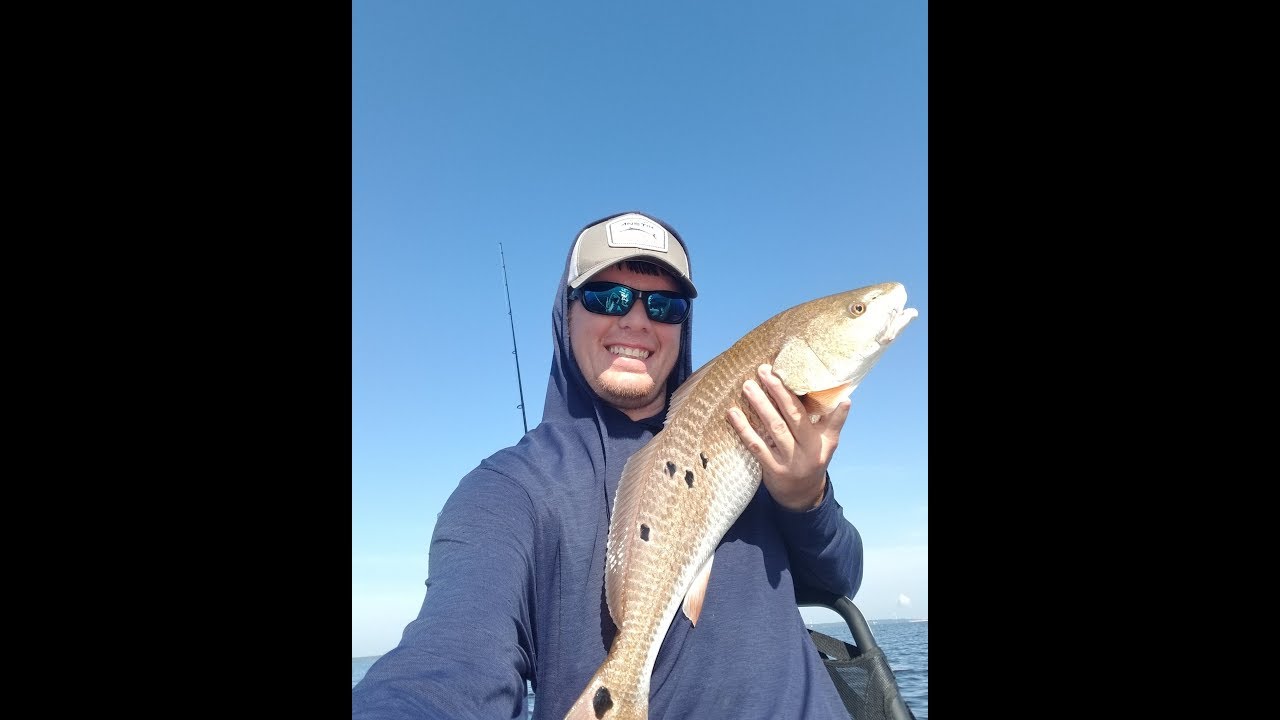 Pensacola Fl Redfish topwater - YouTube