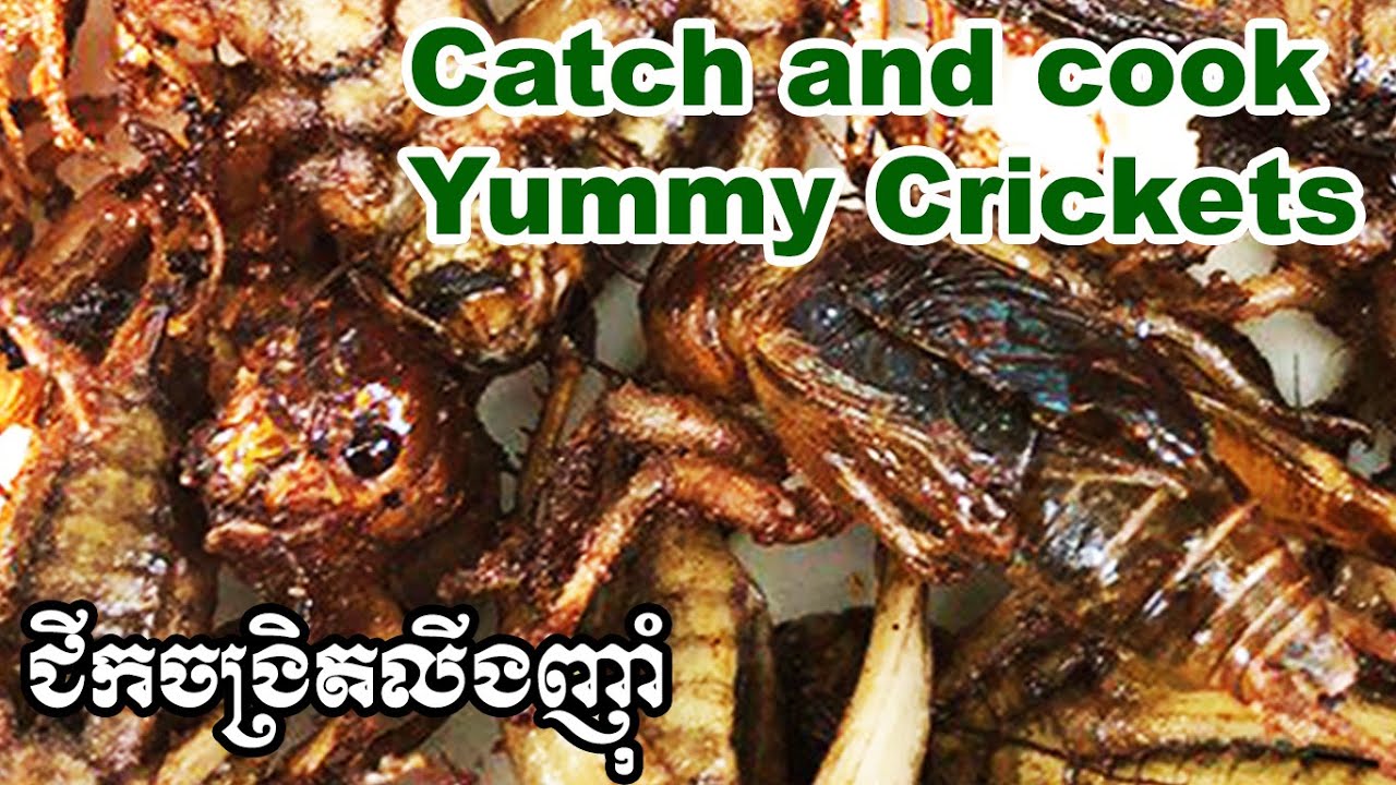 ជីក ចង្រិត ចៀន ញ៉ាំ Catch on cook : tasty coconut crickets - YouTube
