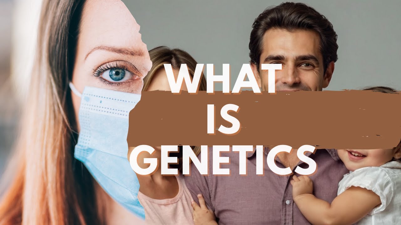 What Is Genetics - YouTube