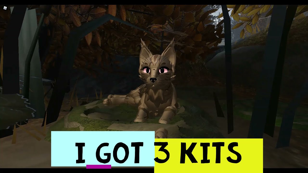 3 little kits | WCUE - YouTube