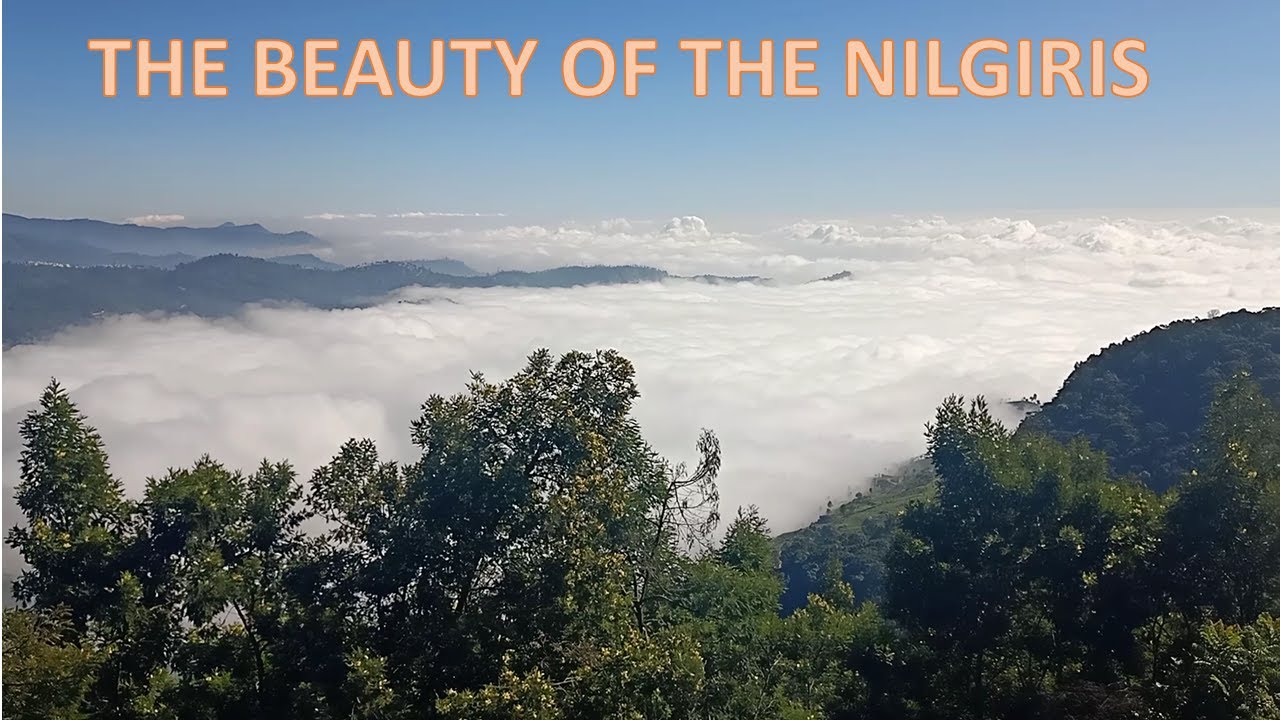 THE BEAUTY OF THE NILGIRIS | THE NILGIRIS | NILGIRI SCENERY | BLUE ...