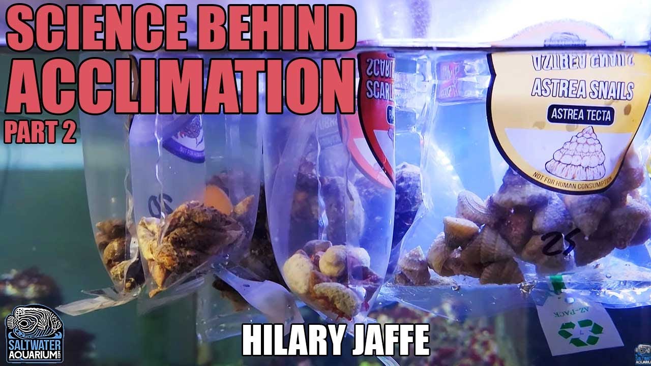 SCIENCE Behind Acclimating Your Saltwater Clean-Up Crews - Hilary Jaffe ...