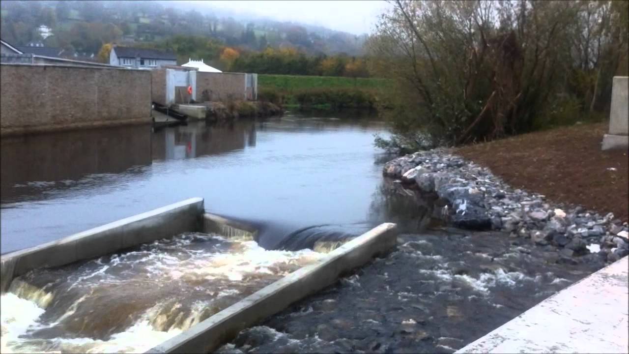 Salmon Run ,Old Bridge ,Clonmel - YouTube