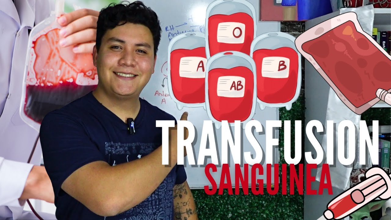 GRUPOS SANGUINEOS | Tipos de Sangre y FACTOR Rh | Anatomia en ...