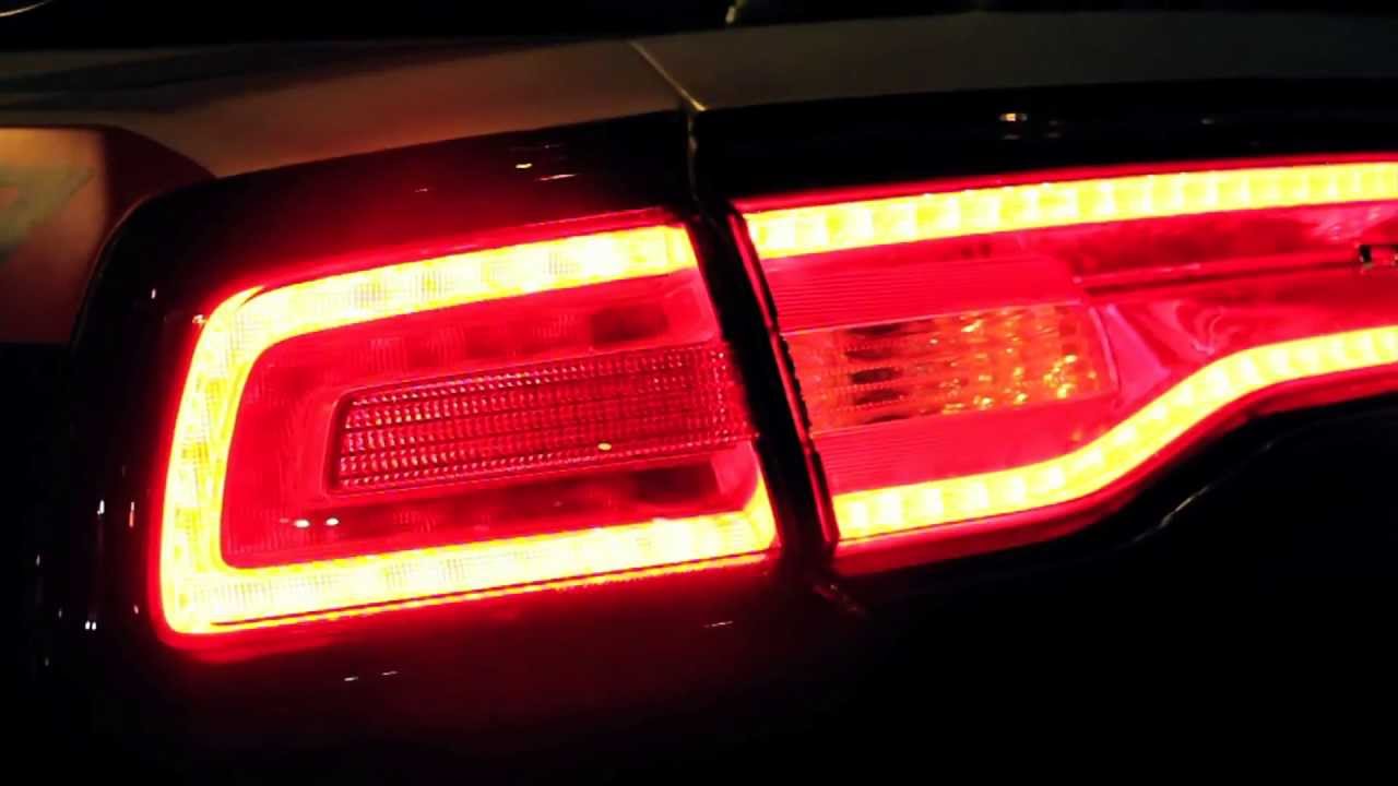 Showbizz Molly Cirus Directed By @SOSOimages [prod @skid_dolla] - YouTube