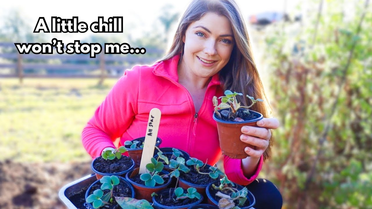 GARDEN VLOG I Did my garden survive a Polar Vortex? +Planting bare root STRAWBERRIES! # ...