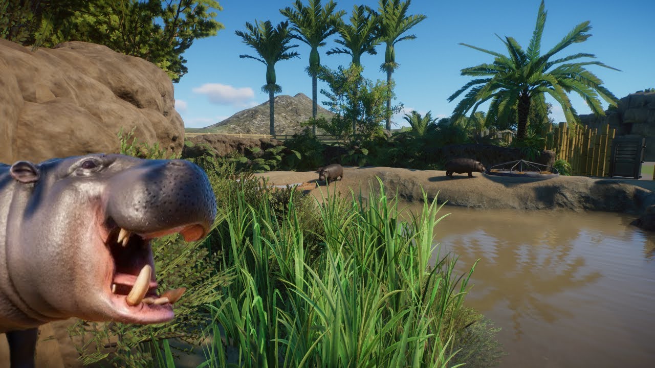 pygmy hippo habitat | planet zoo | Arrow wood zoo - YouTube