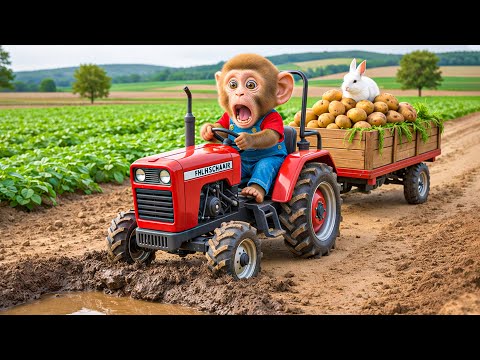 Monkey CoCo’s Potato Harvest Turns Into a Heroic Rescue | Saving a Trapped Bunny!