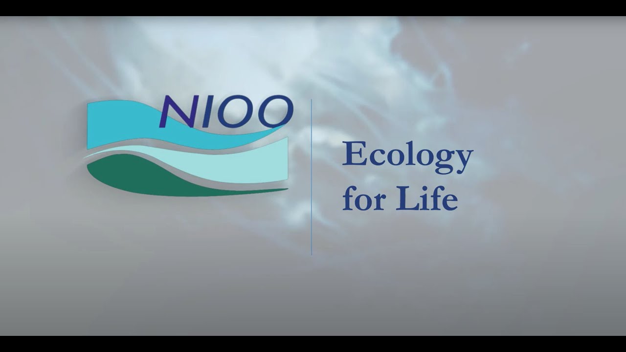 Ecology for Life - The Netherlands Institute of Ecology (NIOO-KNAW ...