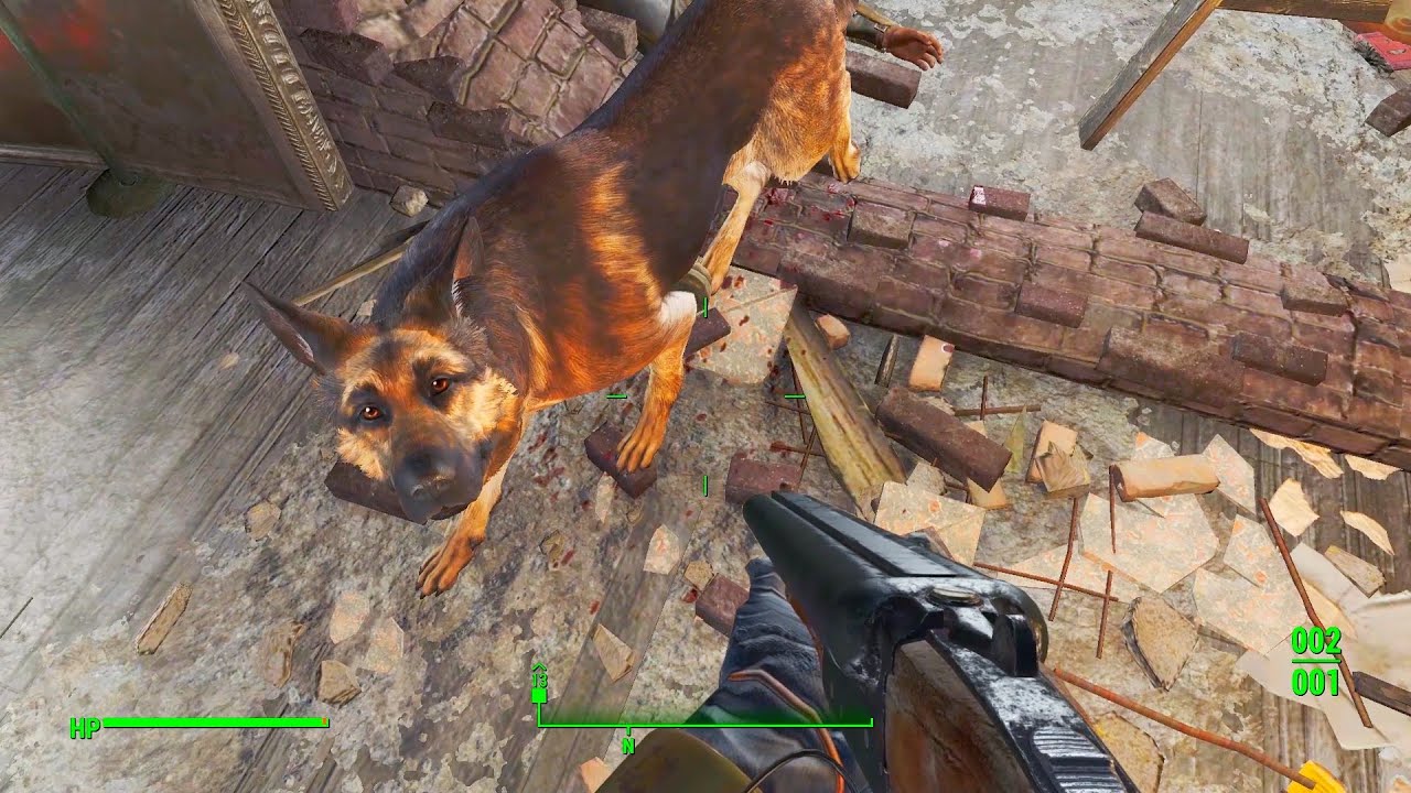 Dog in Fallout 4 is really cool - YouTube