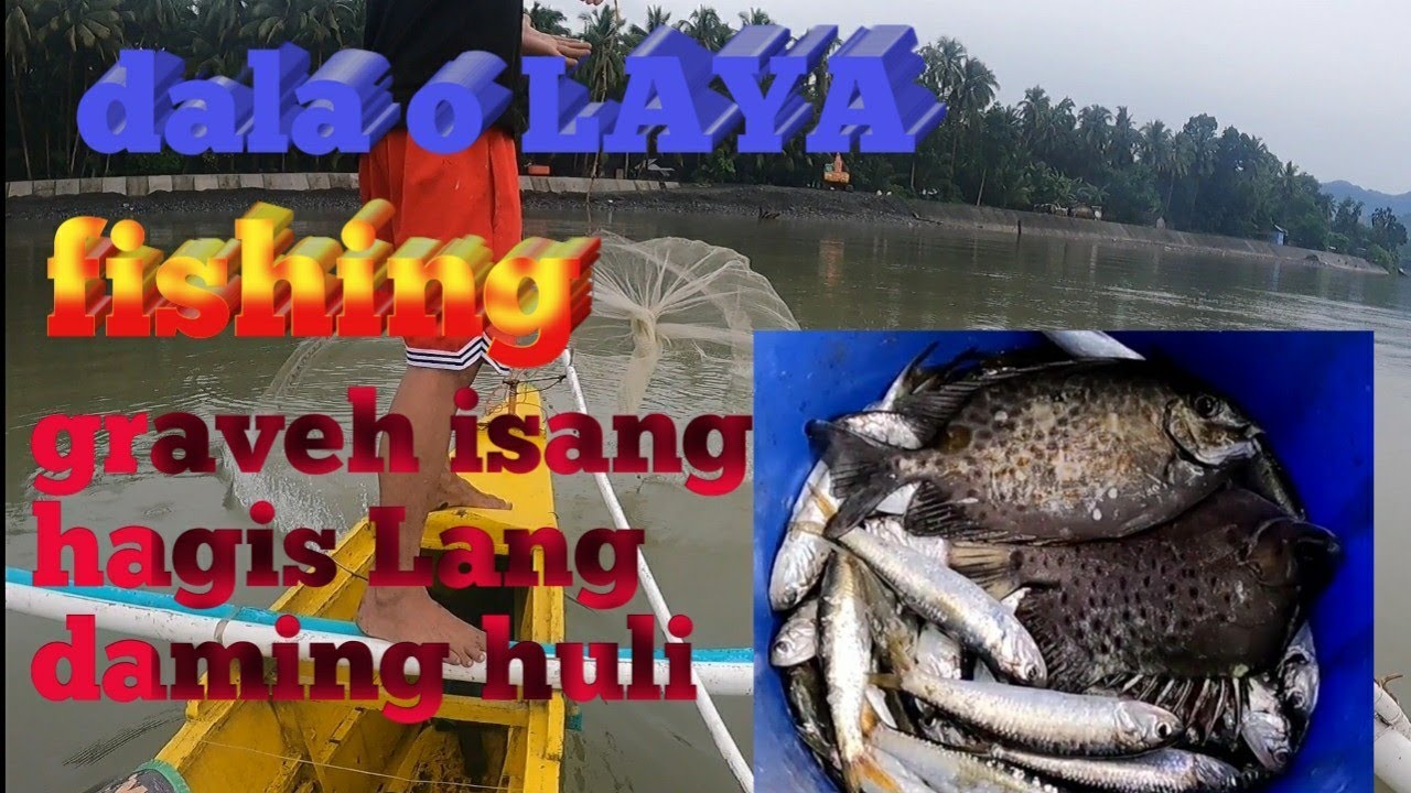 traditional net fishing DALA o LAYA/ cast net/ adventure fishing. - YouTube