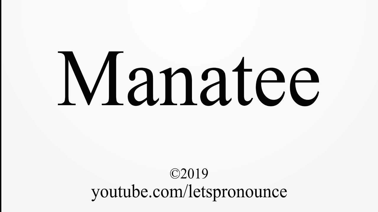 How to Pronounce Manatee - YouTube