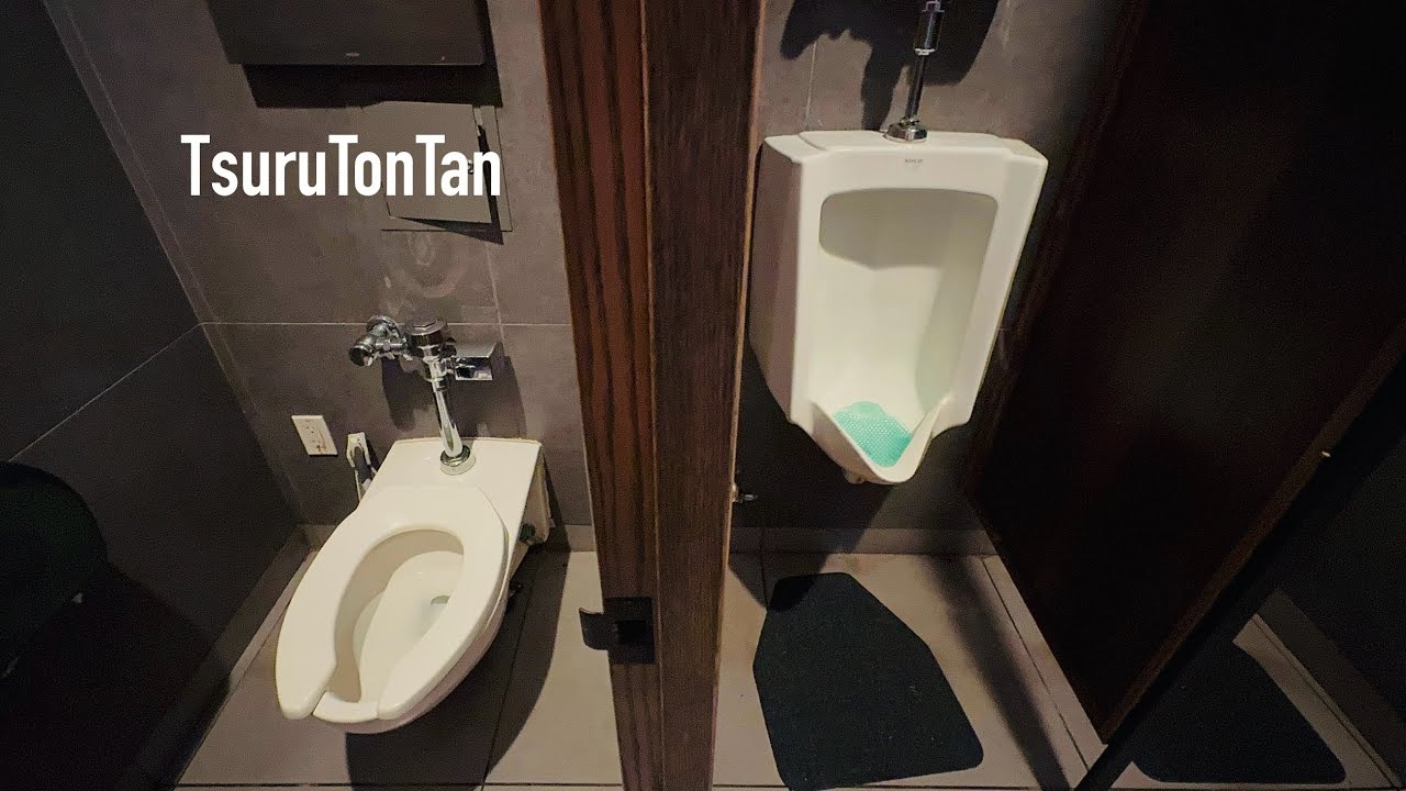 American Standard Afwall Toilet Flush, Kohler Bardon, Toto Hand Dryer ...