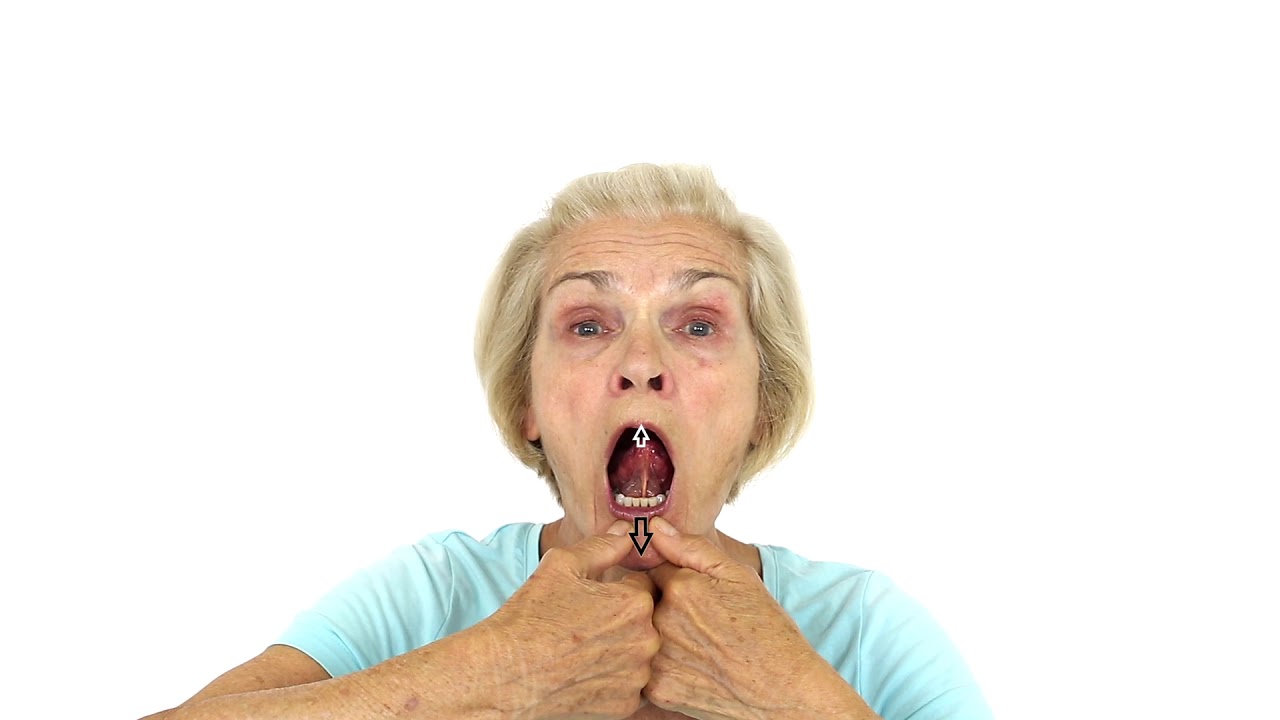 Senior: How to Stretch your Digastric Muscle - YouTube