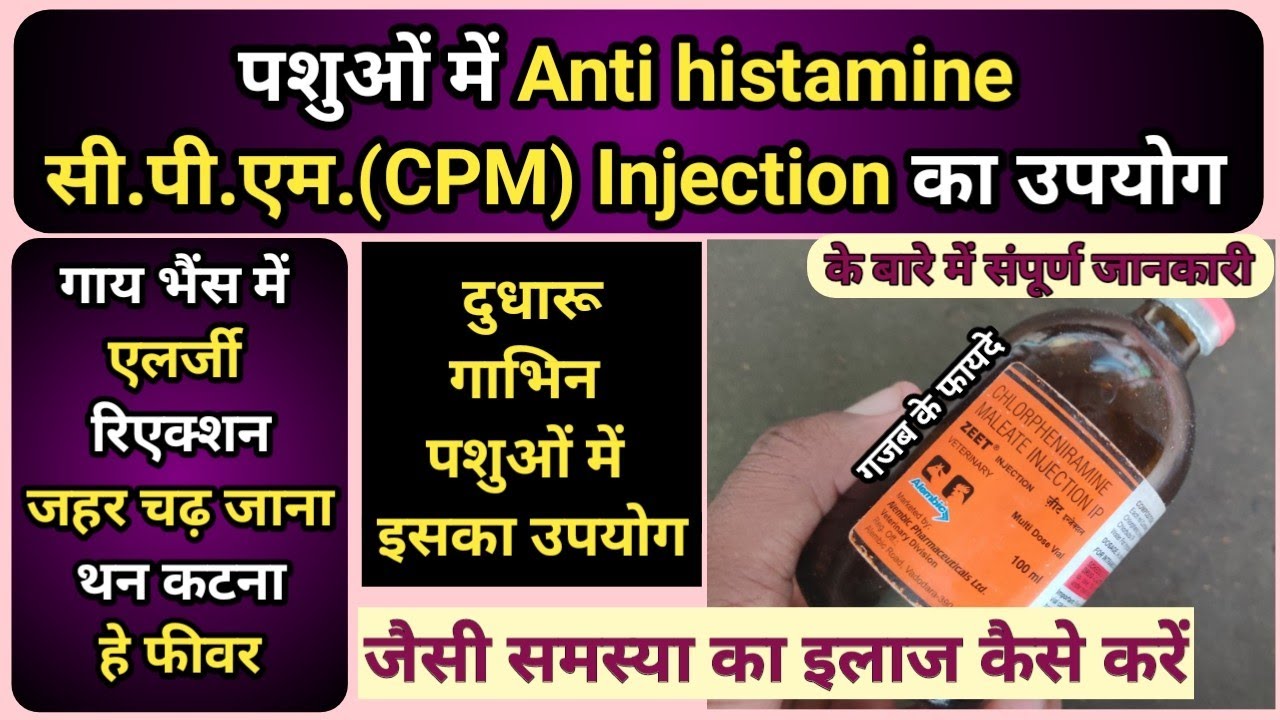 पशुओं में Anti histamine injection सी.पी.एम.(chlorpheniramine) cadistin ...