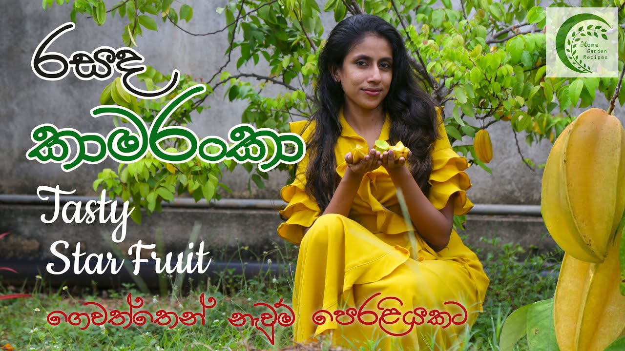 Amazing Healthy Fruit Kamaranka (Star Fruit) #Kamaranka Juice ...
