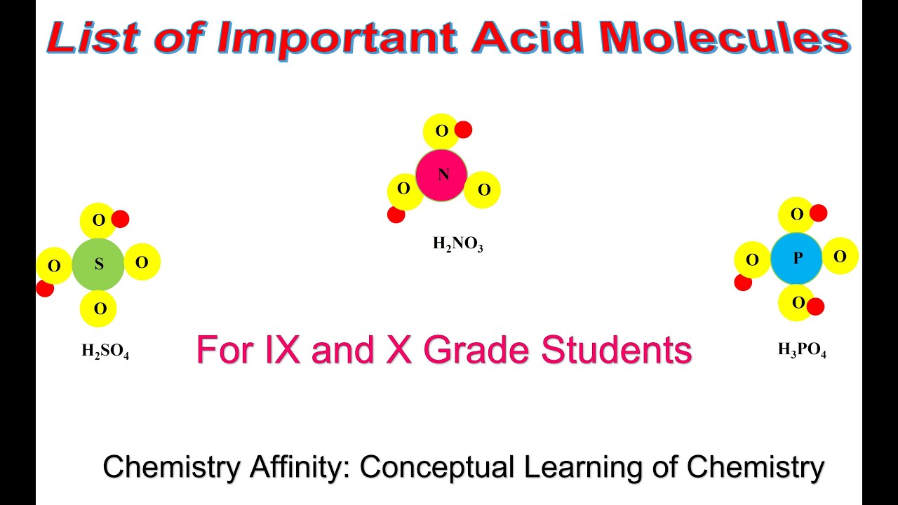 Important Acid Molecules and Molecular Models: Beginner's Chemistry ...