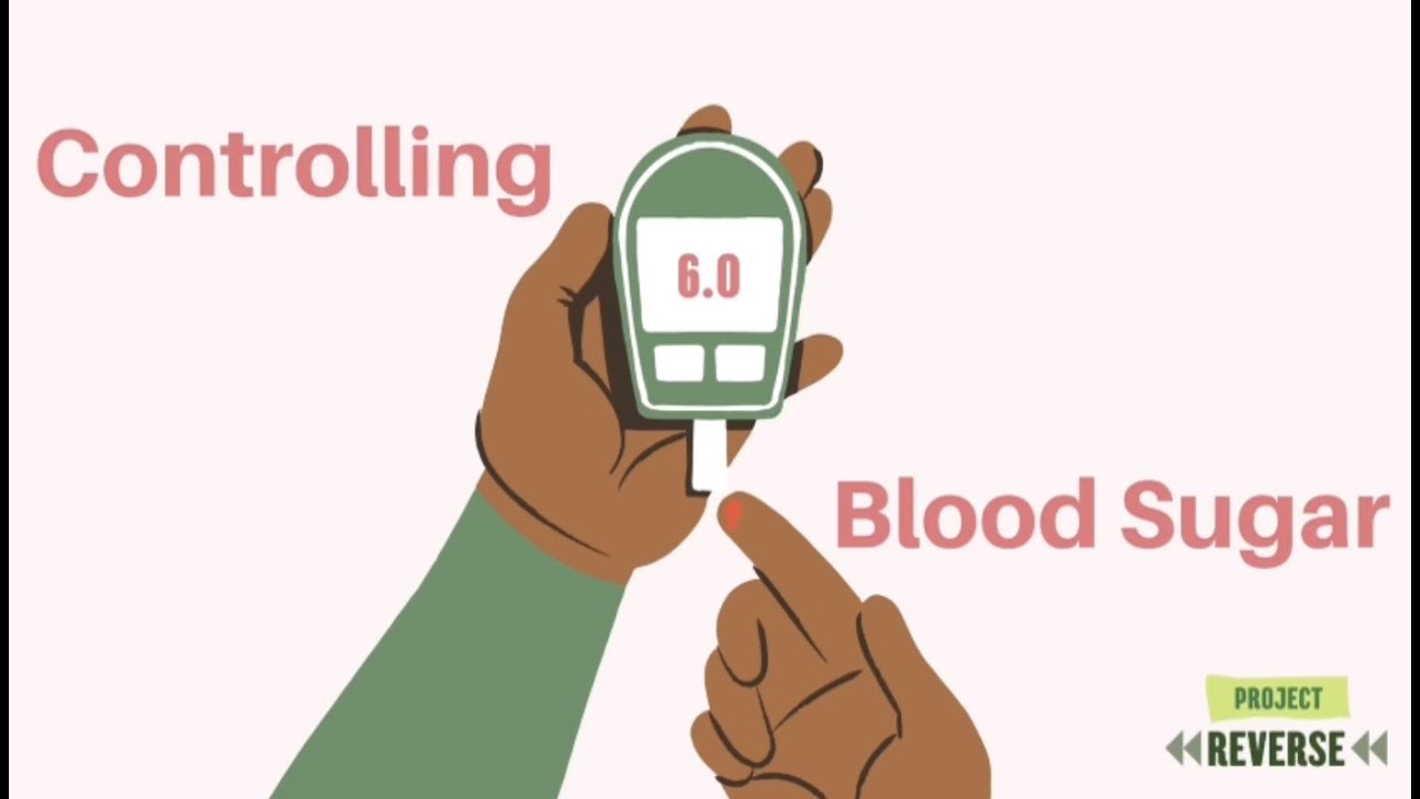 Project Reverse: Controlling Blood Sugar (P2) - YouTube