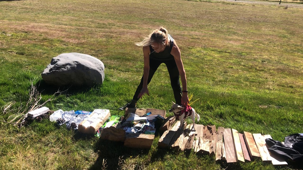 neurostimulation proprioception exercise with weird objects for a dog ...