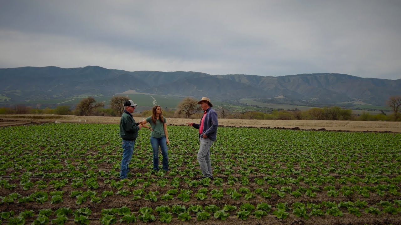 Valent U.S.A. Executive Spotlight – Making Agriculture Work for People ...