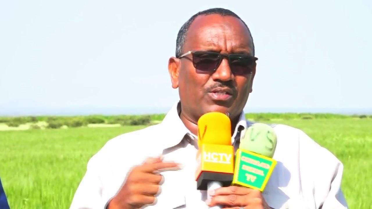 Gabiley Wasiirka Beeraha Oo Kormeeray Mashruuca Banka Wajaale - YouTube