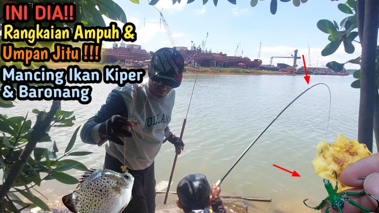 Cara Mudah Mancing Ikan Kiper - YouTube