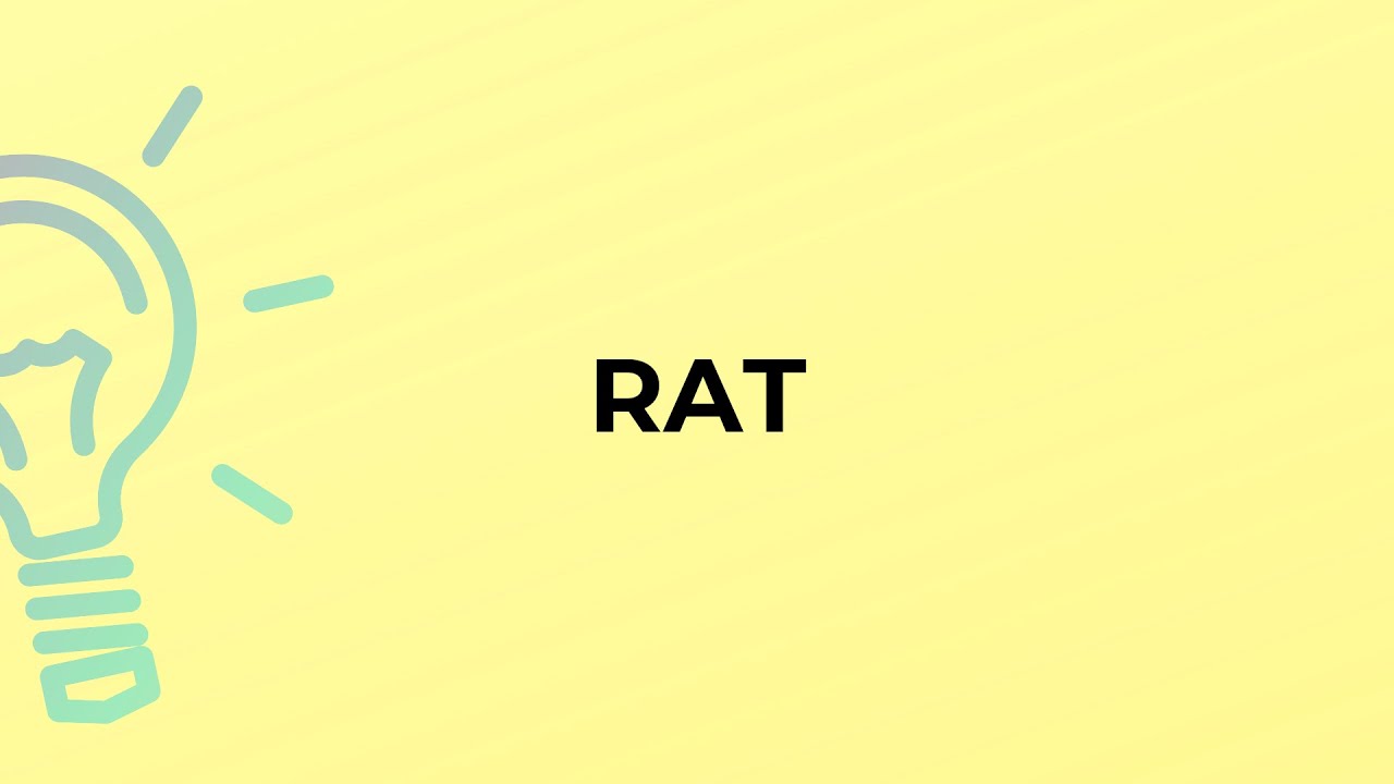 What is the meaning of the word RAT? - YouTube