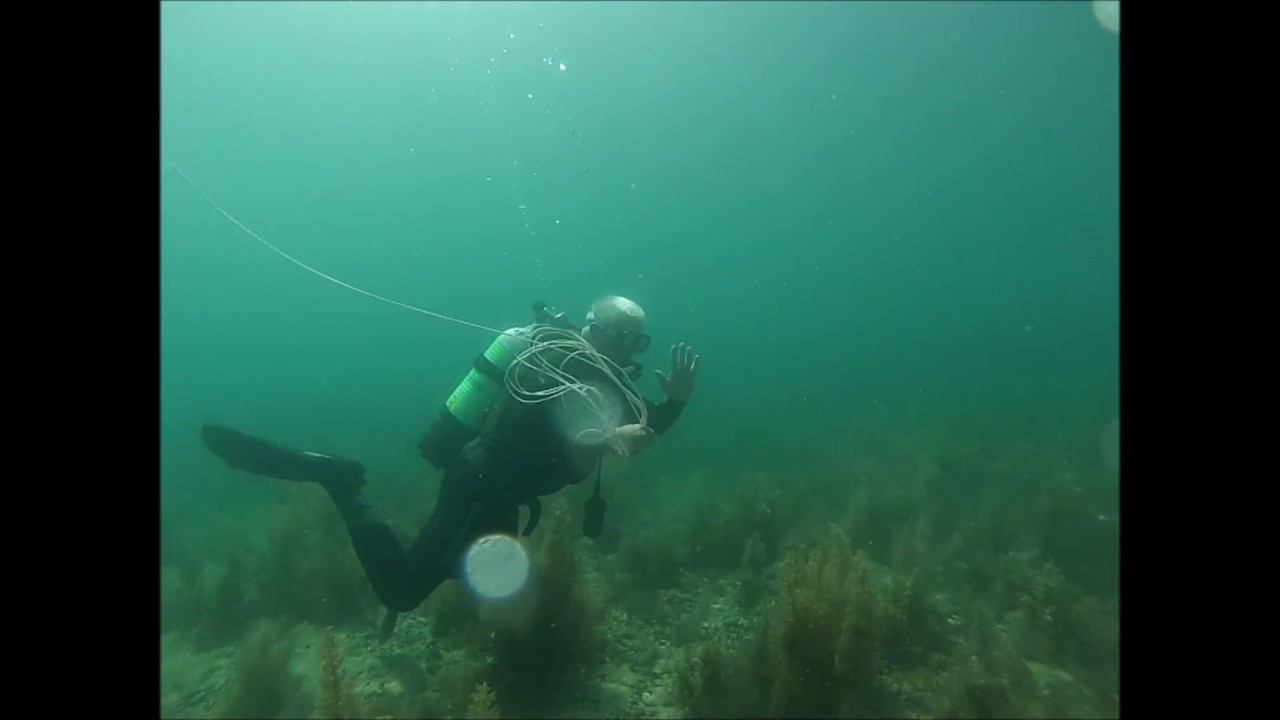 Bird Rock Yak Dive - YouTube