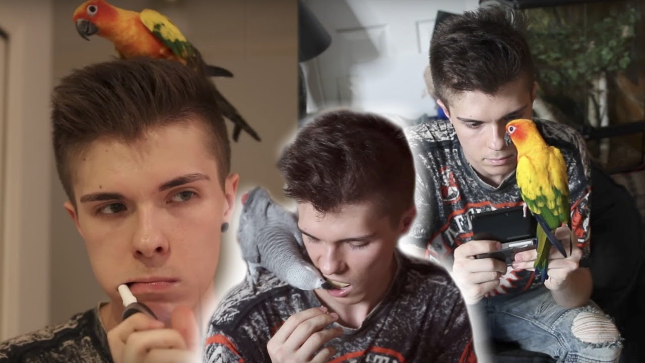Life Before vs. After Owning Birds - YouTube