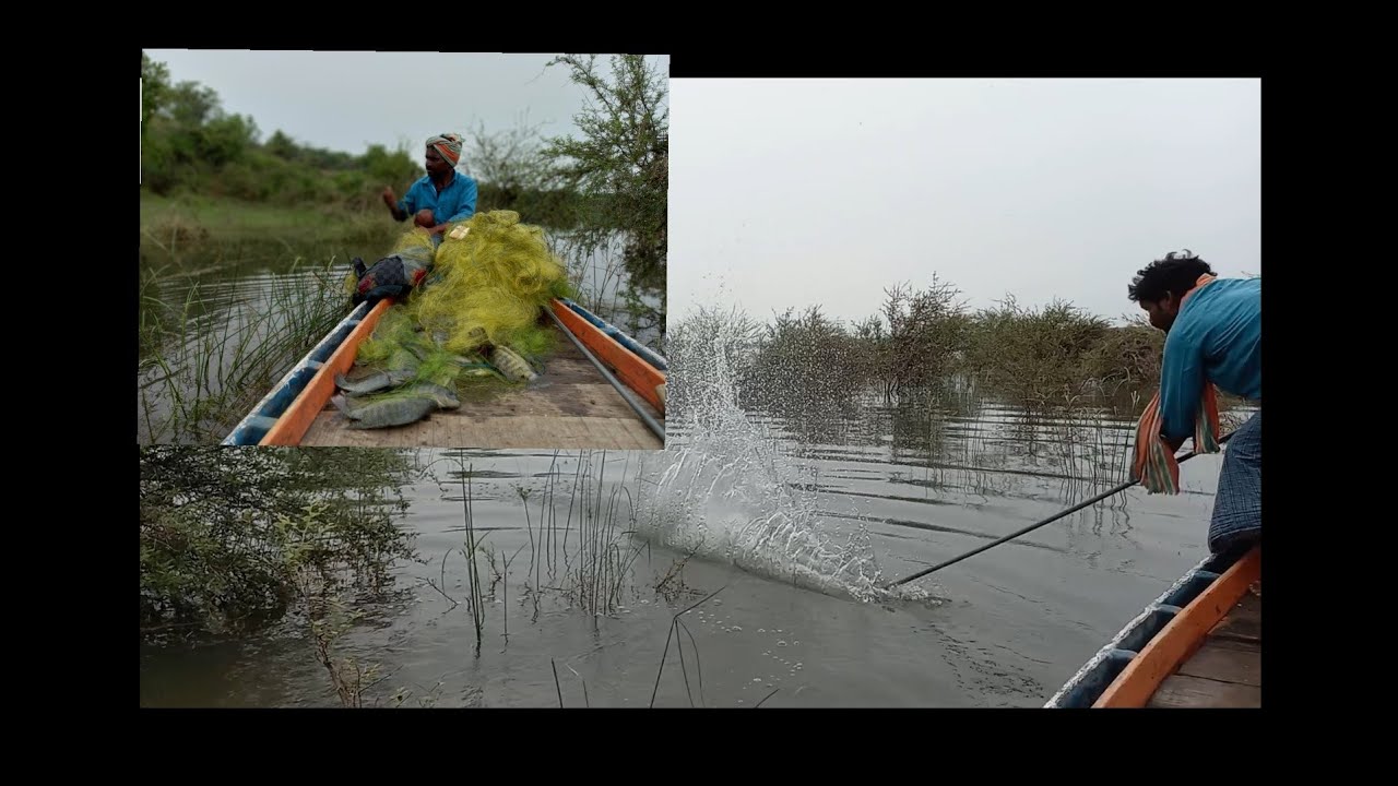Fish Hunting net/& /water vibration amazing Fish Hunting - YouTube