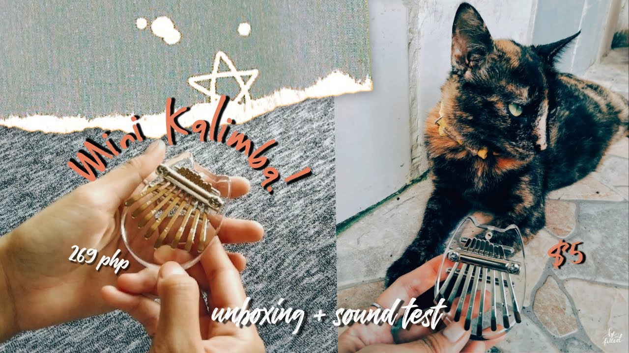 8-Key Kalimba Unboxing and Sound Testing || Mini Kalimba - YouTube