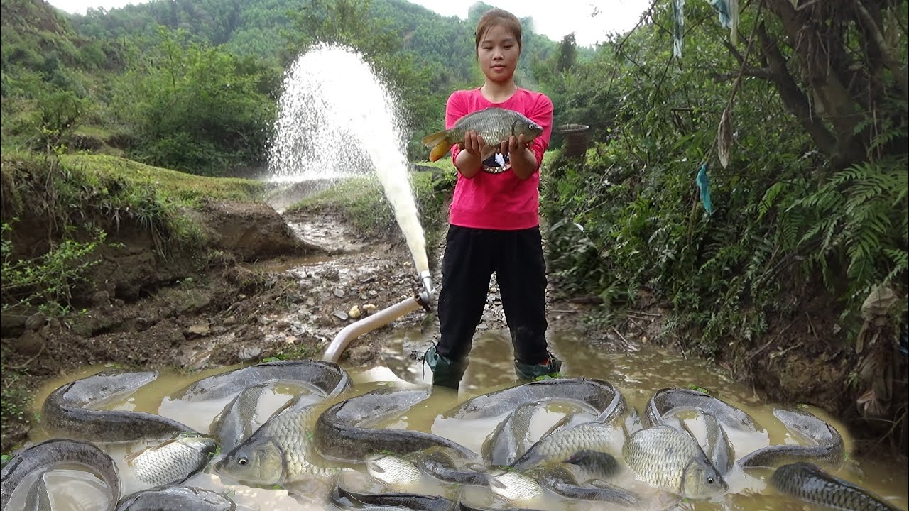 Hunting wild fish | Using pumps, pumping water outside the natural lake ...