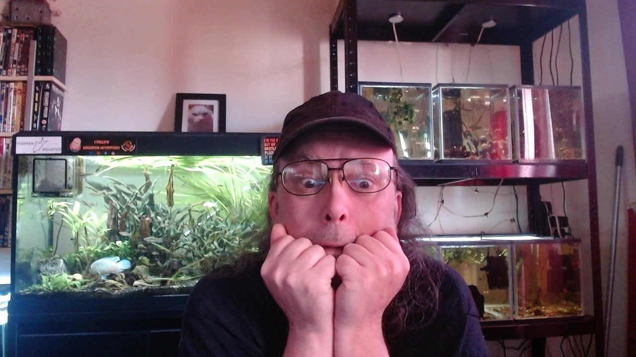 Sunday Sharpe: flash and rumble - YouTube